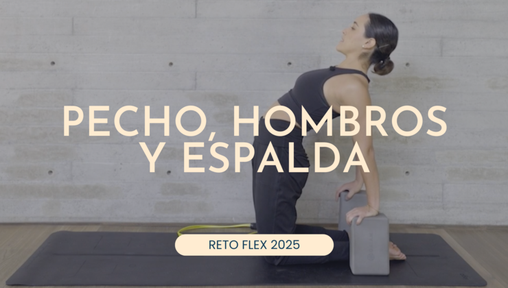 3. Flexibilidad pecho, hombros y espalda (arcos)