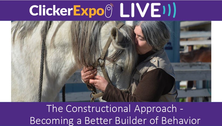 The Constructional Approach - Becoming a Better Builder of Behavior | Video on Demand by Karen ...