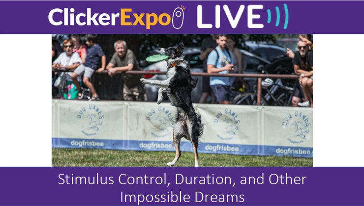 Stimulus Control, Duration, and Other Impossible Dreams | Video on ...