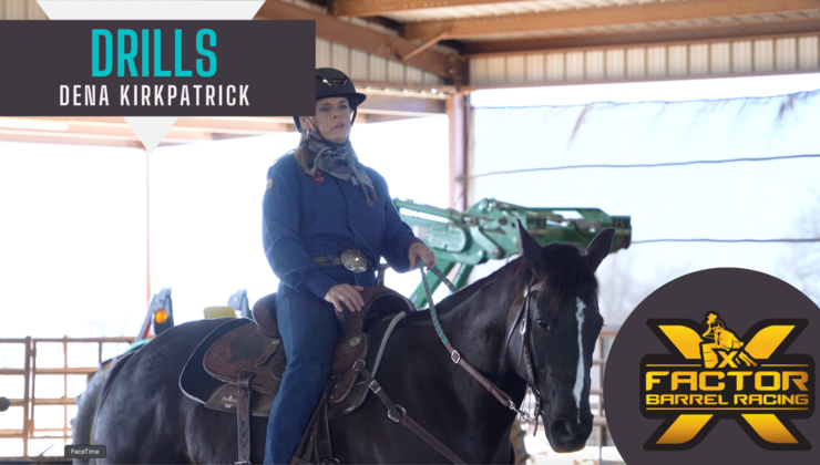 Teaching Your Horse Point of Rate with Dena Kirkpatrick Part 1 of 2