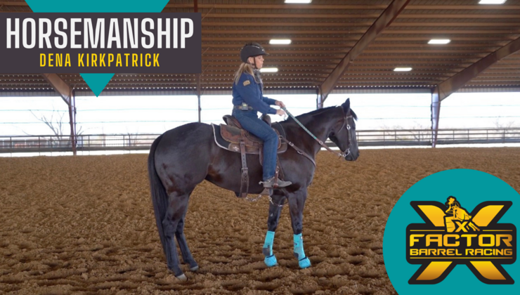 How To Keep Your Horse Riding Between Your Hands With Dena Kirkpatrick