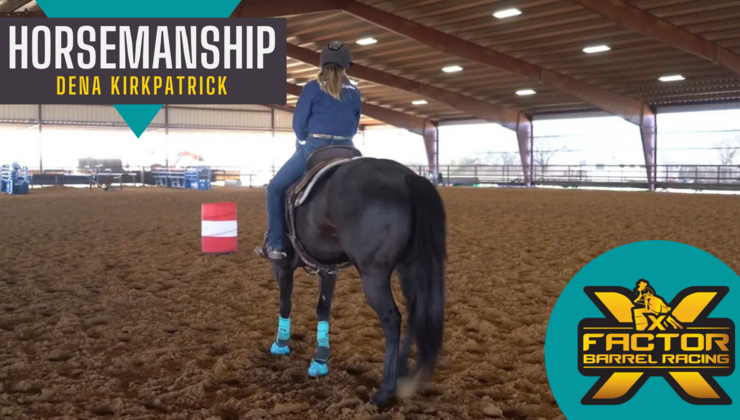 Hand Position and Rein Techniques for Full Contact Runs With Dena ...