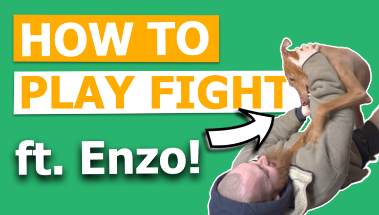 Learning How to play fight can change a lot!