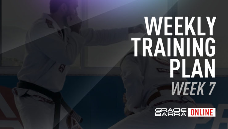Weekly Training Plan - Week 7
