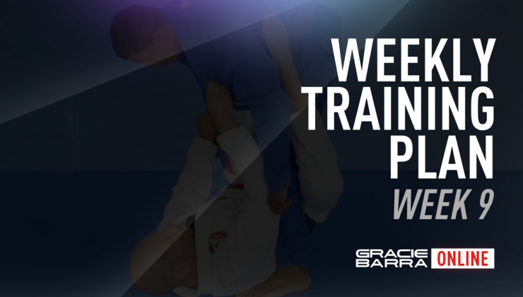 Weekly Training Plan - Week 9