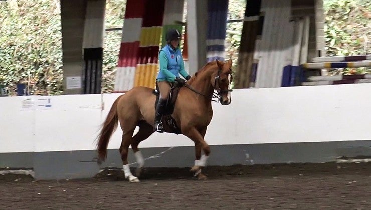 Online Classical Riding Academy free video - Kay and Monty before and ...