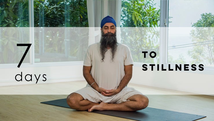 7 Days to Stillness | One Yoga