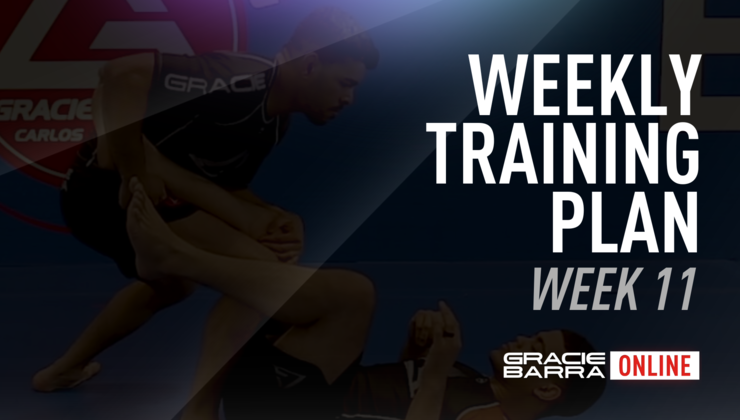 Weekly Training Plan - Week 11