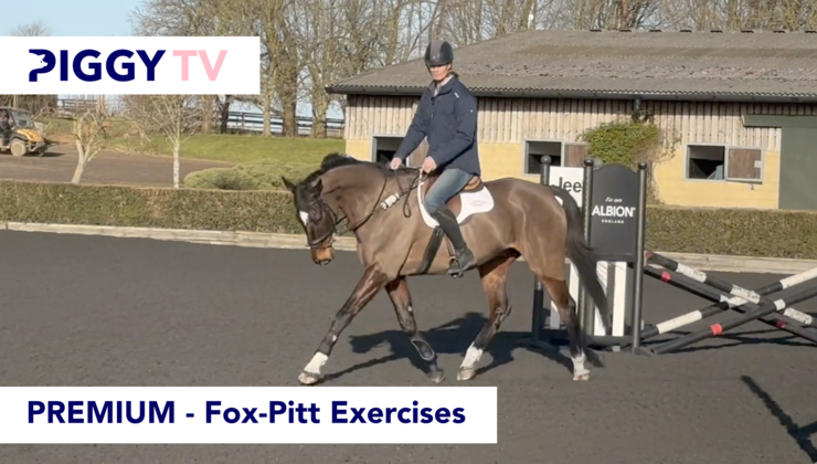 Fox-Pitt Exercises | Piggy TV
