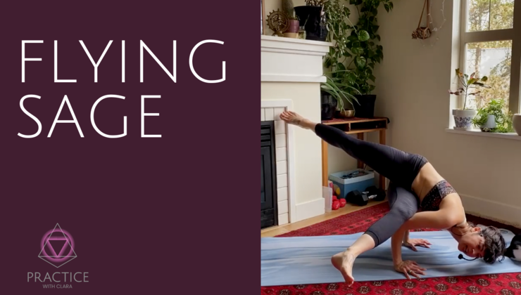 Flying Sage Pose Breakdown
