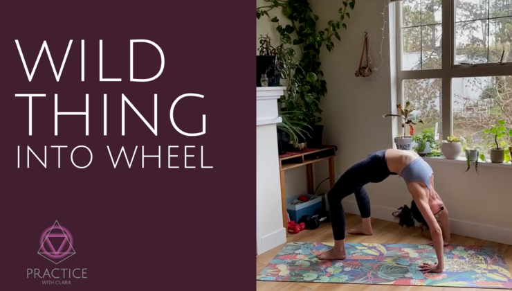 Wild Thing Into Wheel Pose Breakdown