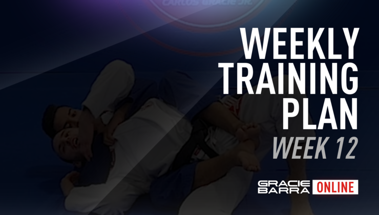 Weekly Training Plan - Week 12