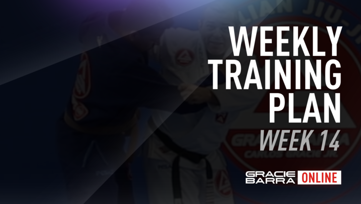 Weekly Training Plan - Week 14