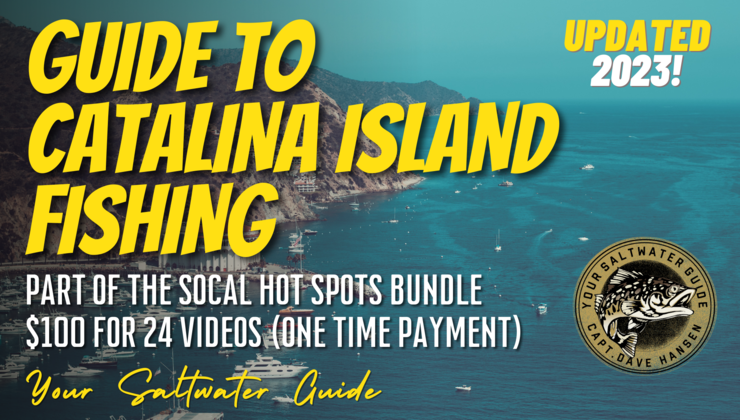 Guide to Catalina Island Fishing (Updated 2024) | Your Saltwater Guide