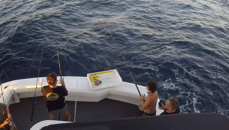 TRIP TO CABO - WIDE OPEN YELLOWFIN (Part 1) | Your Saltwater Guide