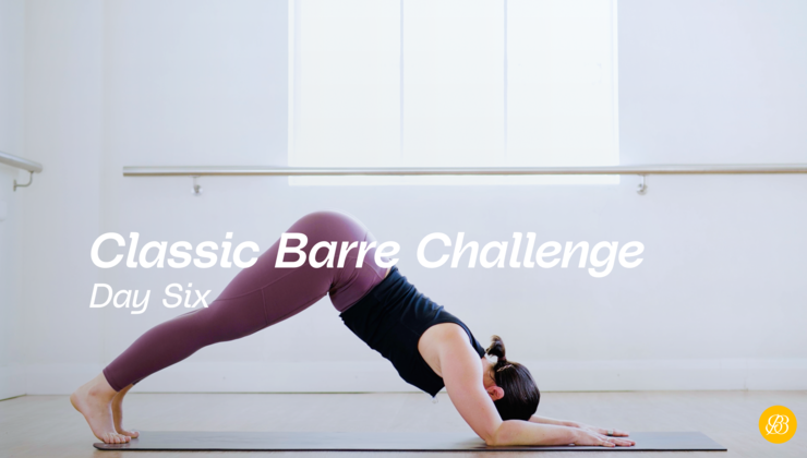 Classic Barre Challenge Day 6 – Arms & Upper Body Workout | Barre Base Anywhere