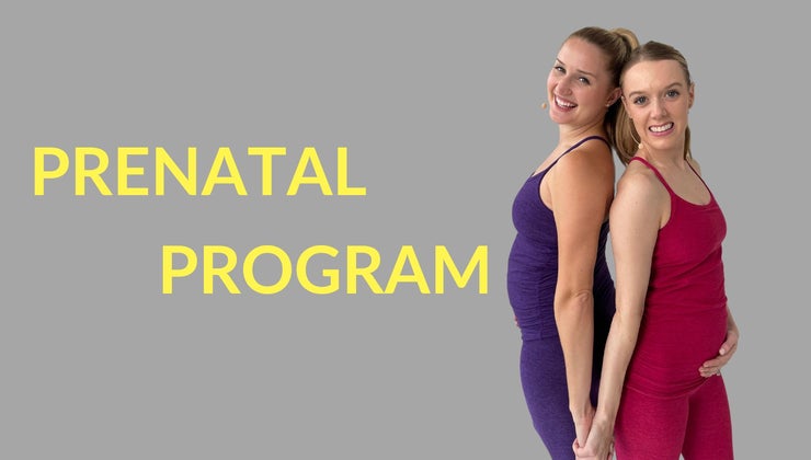 Prenatal Program