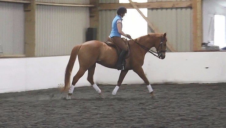 Online Classical Riding Academy - sitting and rising trot | Online ...