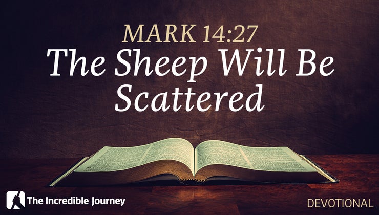The Sheep Will Be Scattered | Adventist Review TV