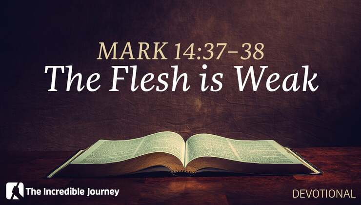 The Flesh Is Weak | Adventist Review TV