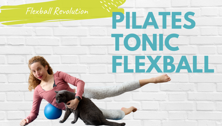 Pilates Tonic Flexball