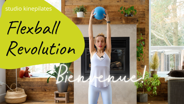Présentation Flexball Revolution