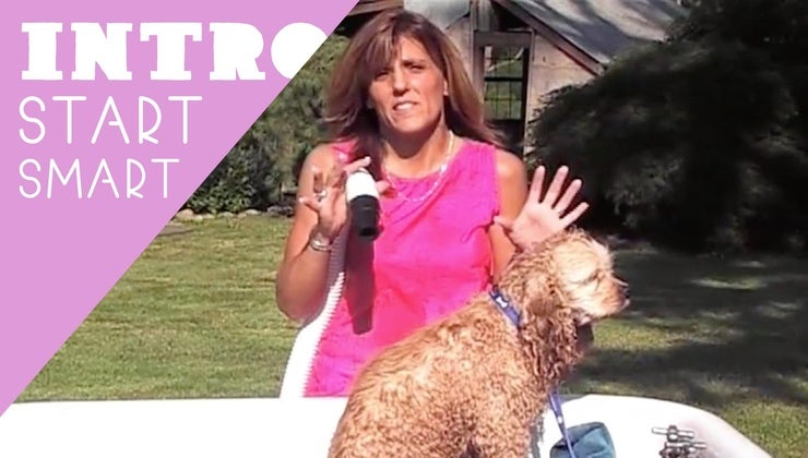 Getting Started in Dog Grooming: The Essential 90-Minute Guide | Jodi ...