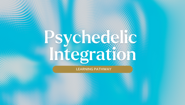 Psychedelic Integration Learning Pathway