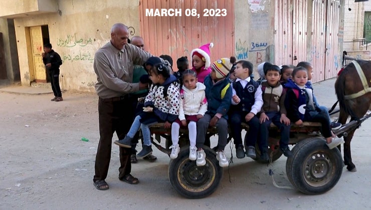 Donkey School Buses | WORLD Watch