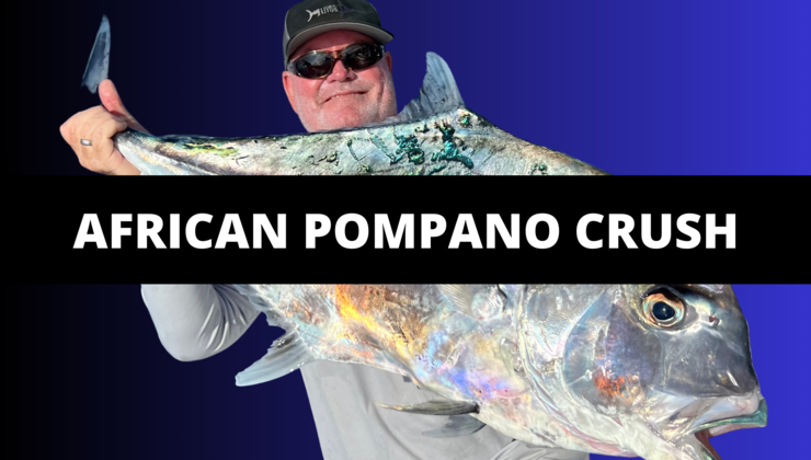 African Pompano Crush | The Crew Platform
