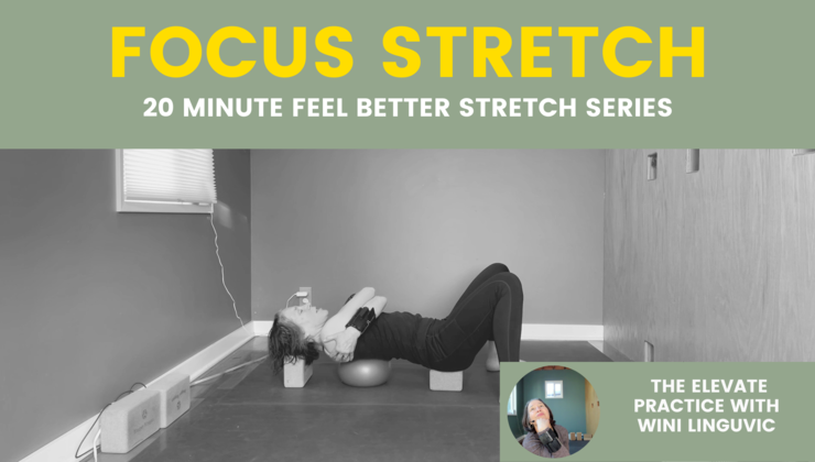 Focus Stretch 20 Minute Stretch Series | The Elevate Practice