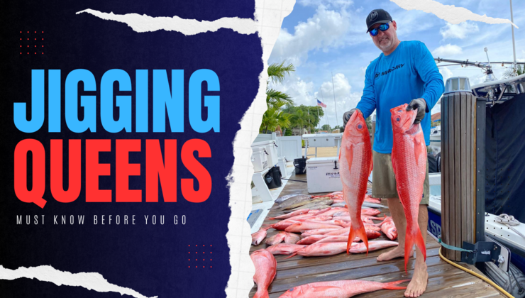 slow pitch jigging monster queen snapper yankee capts long rang gulf of ...