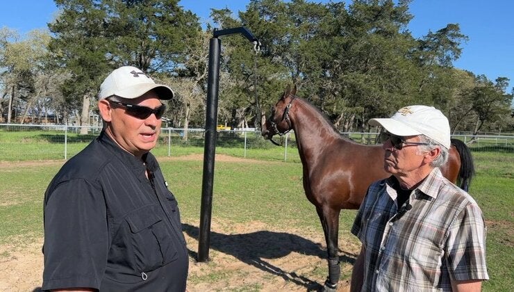 Patience Pole | Michael Byatt Equestrian Academy