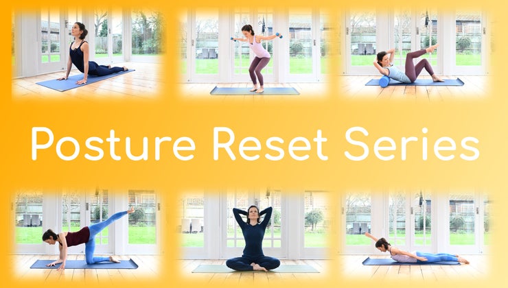 Posture Reset Programme