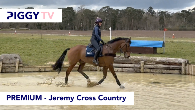 Jeremy Cross Country | Piggy TV