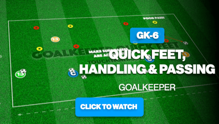 Goalkeeper Quick Feet, Handling & Passing | GK-6