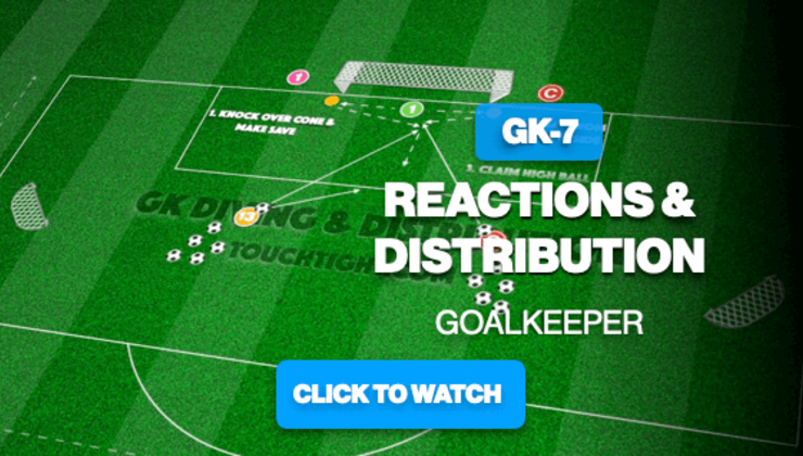 Goalkeeper Reactions, Diving & Distribution | GK-7