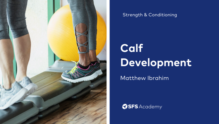 🐮 Calf Development