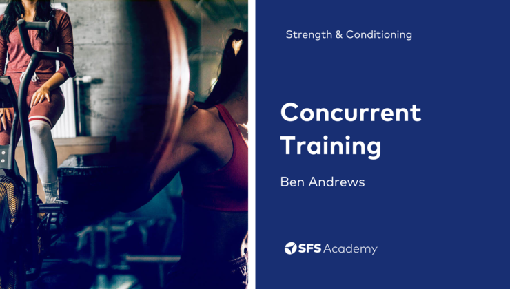 🤹 Concurrent Training
