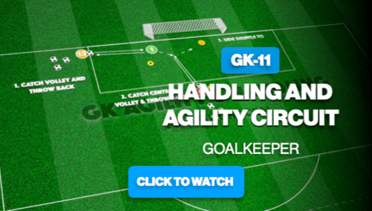 Goalkeeper Agility & Handling | GK-11