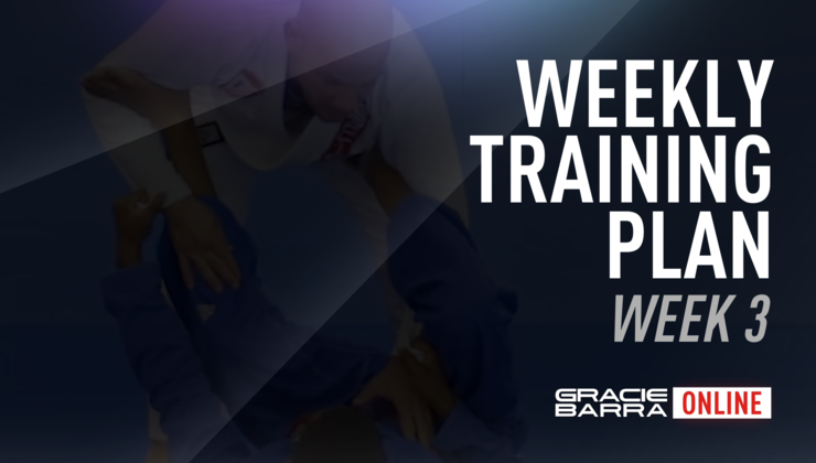 Weekly Training Plan - Week 3