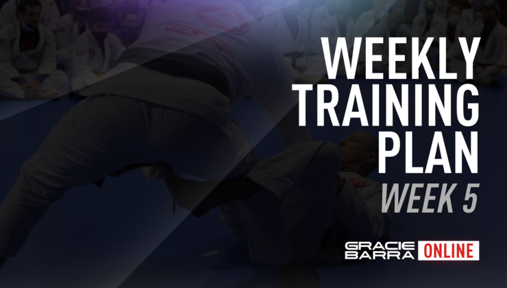 Weekly Training Plan - Week 5
