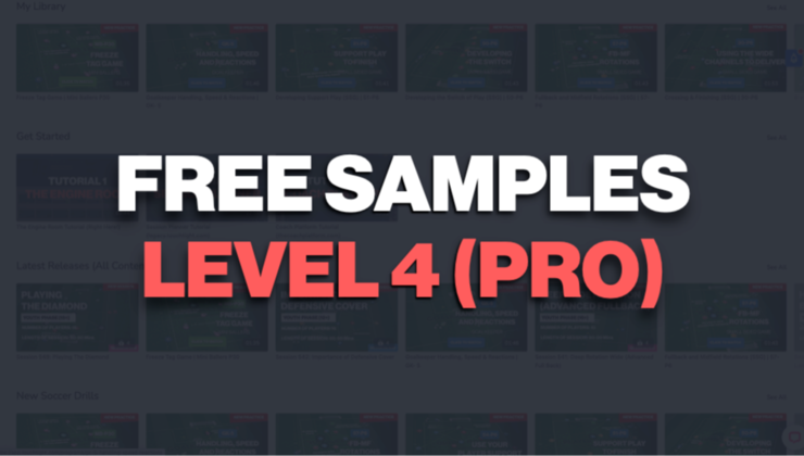 Level 4 Samples