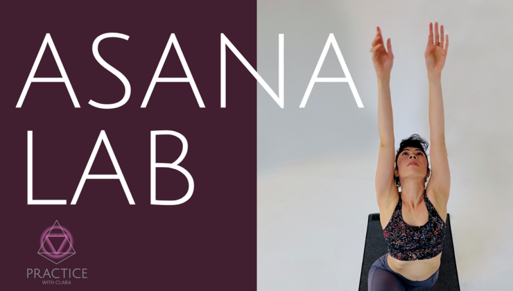 Asana Lab