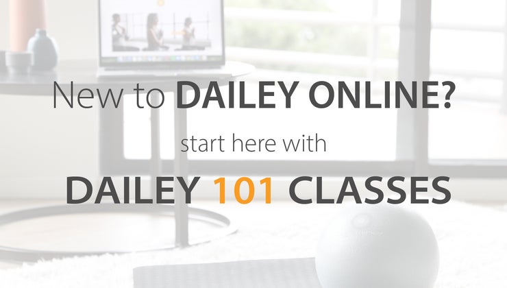 Dailey 101 Series