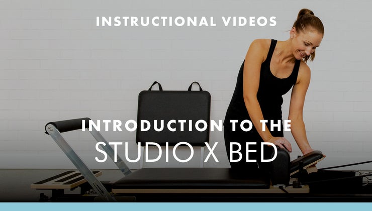 Introduction To Studio X Bed