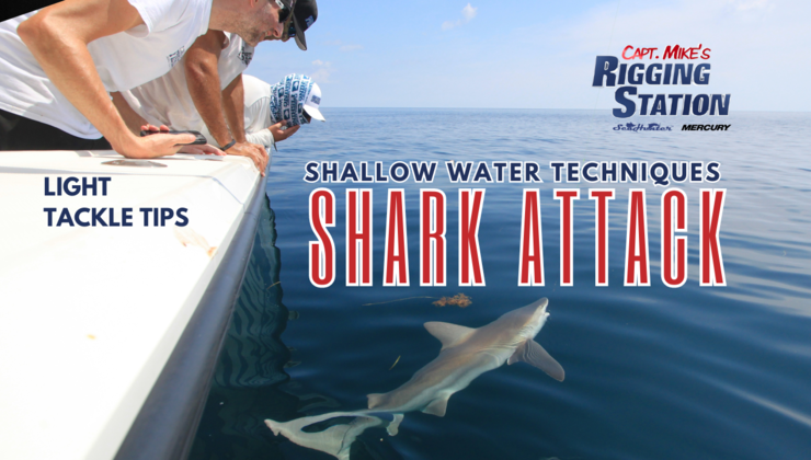 florida shark fishing best baits wire leader hooks rigging tips capt ...