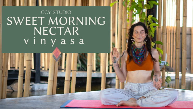 Sweet Morning Nectar for Nourishment Vinyasa Yoga | WOVEN