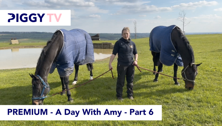 Amy Part 6 | Piggy TV
