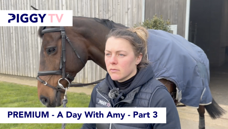 A Day With Amy - Part 3 | Piggy TV